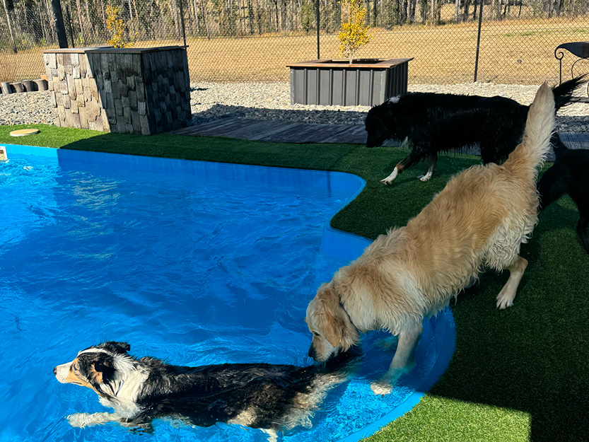 Home - Tails Unleashed