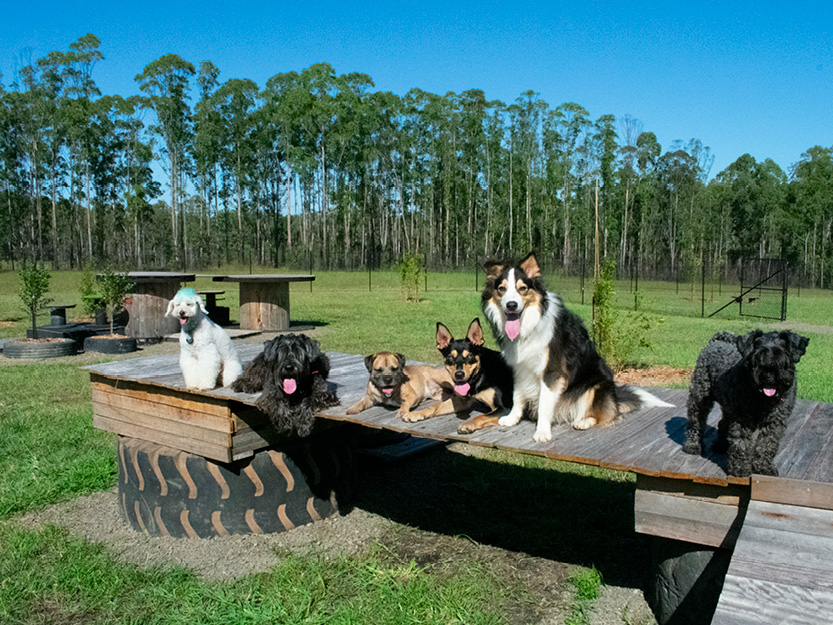 Home - Tails Unleashed